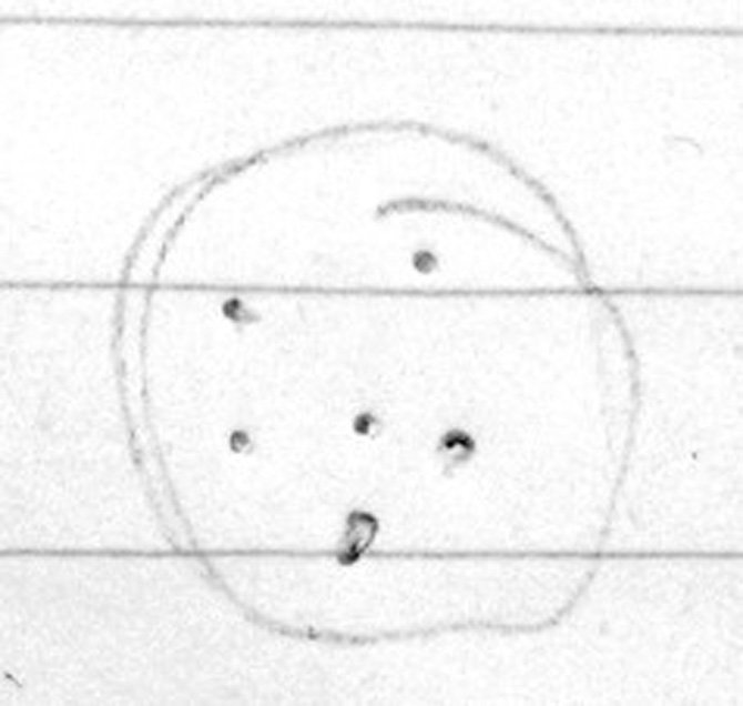 DOCdb - Cl Pismis 16